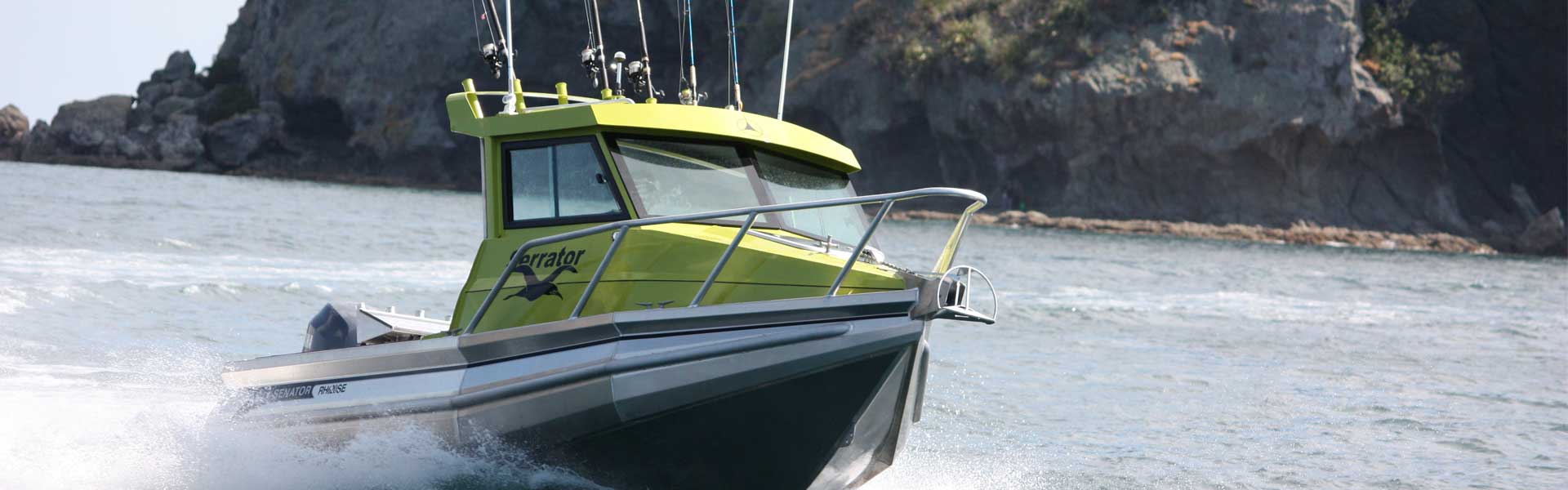 Pontoon Hardtop